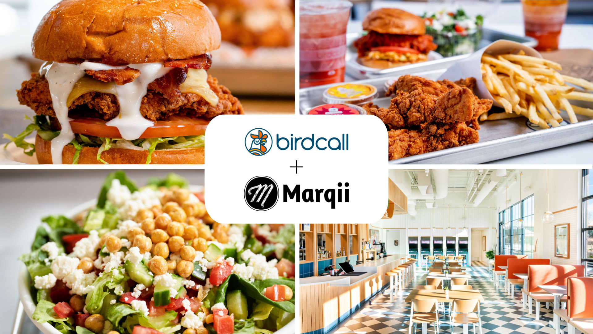 How Birdcall Improved Search Performance with Marqii